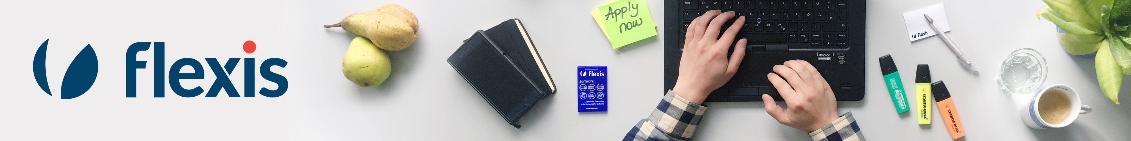Werkstudent (m/w/d) Projektmanagement | flexis AG | 104